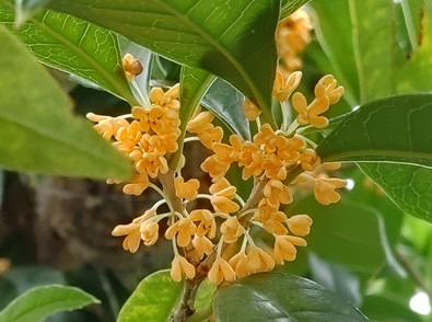 2024年(令和6年)10月16日