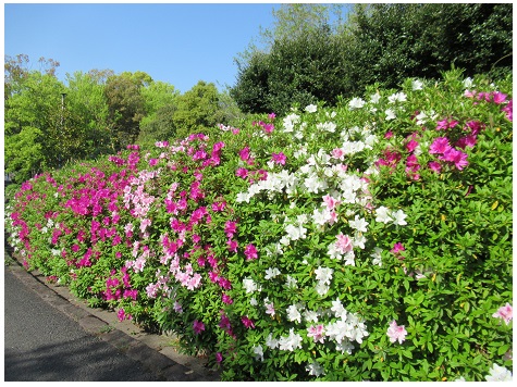 2019年(令和元年)5月3日
