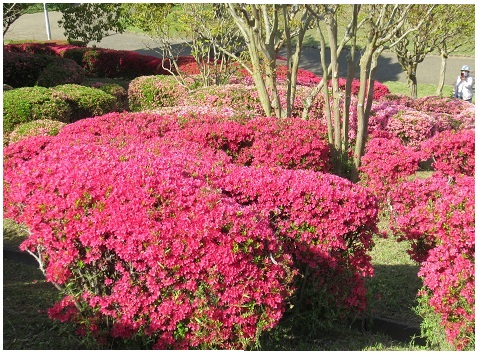 2021年(令和3年)4月19日: