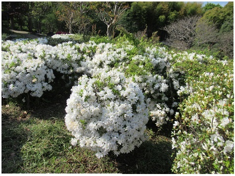 2019年(令和元年)5月3日